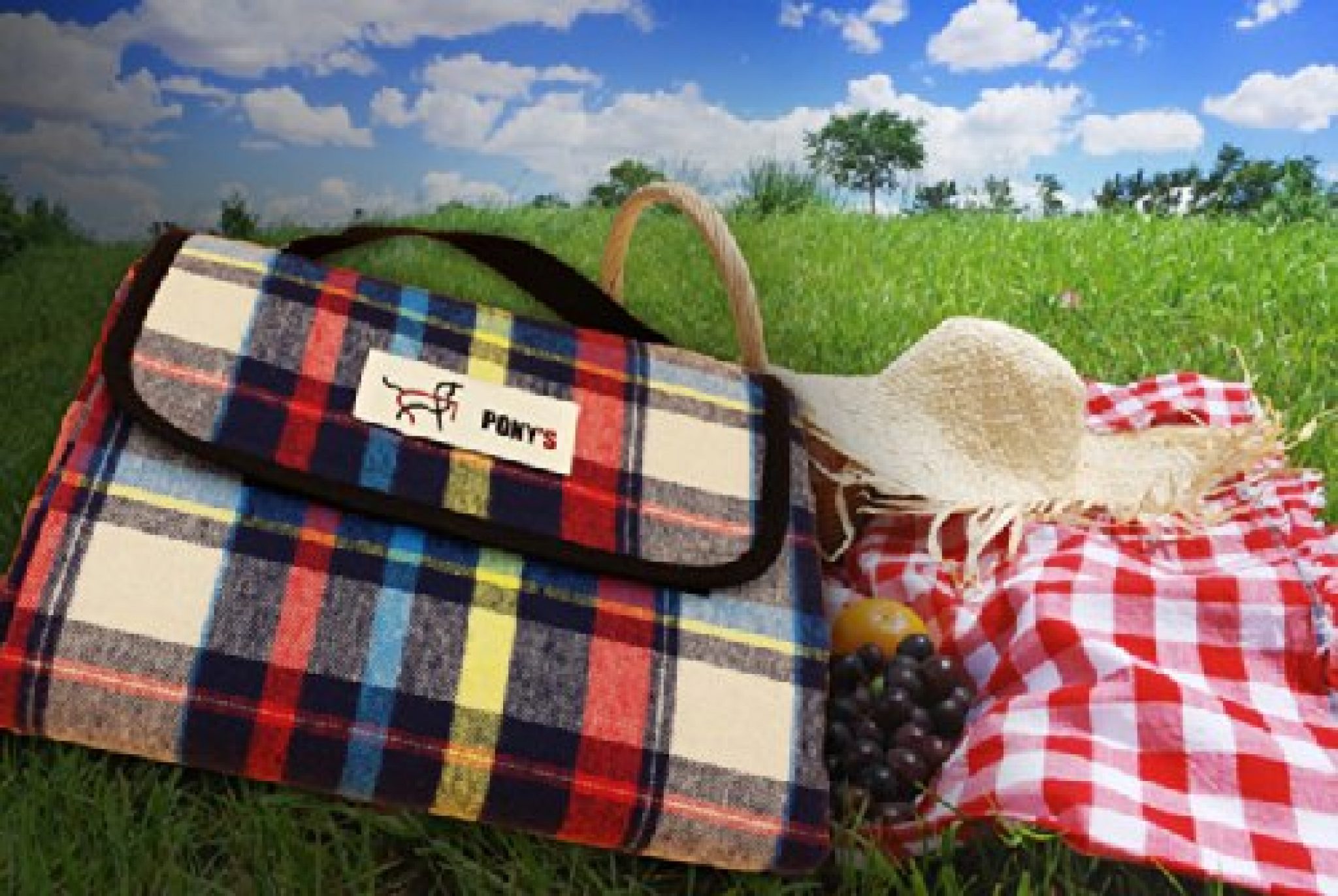 PONY'S Premium Plaid Picnic Blanket - Waterproof - Cotton & PEVA - A ...