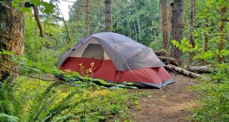 Coleman Red Canyon 8 Person Tent Review | CampStuffs